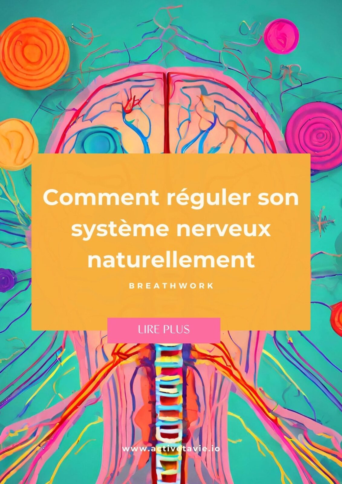 Comment réguler son système nerveux durablement - Je BREATHWORK
