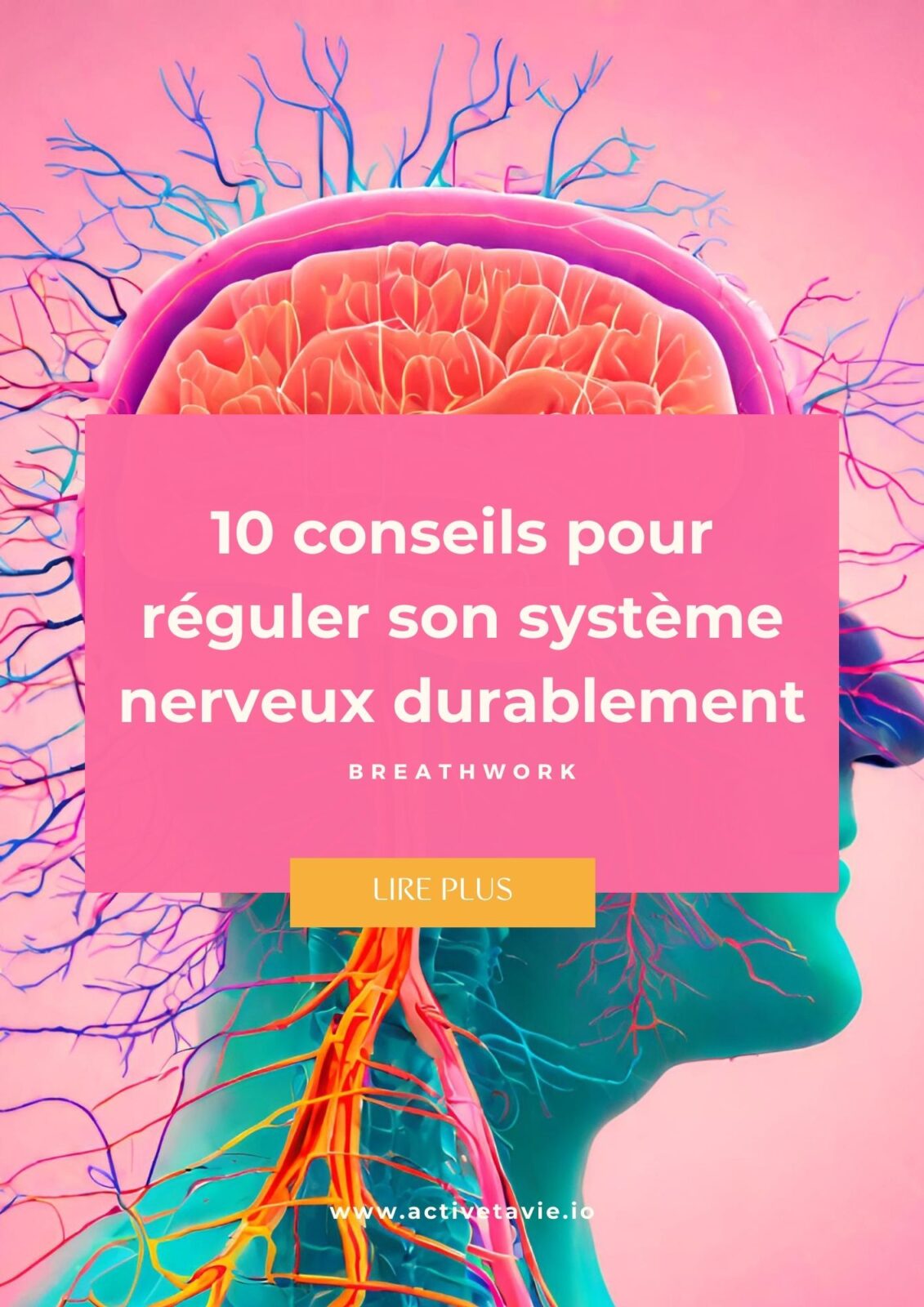 10 Conseils pour Réguler votre Système Nerveux - Je BREATHWORK